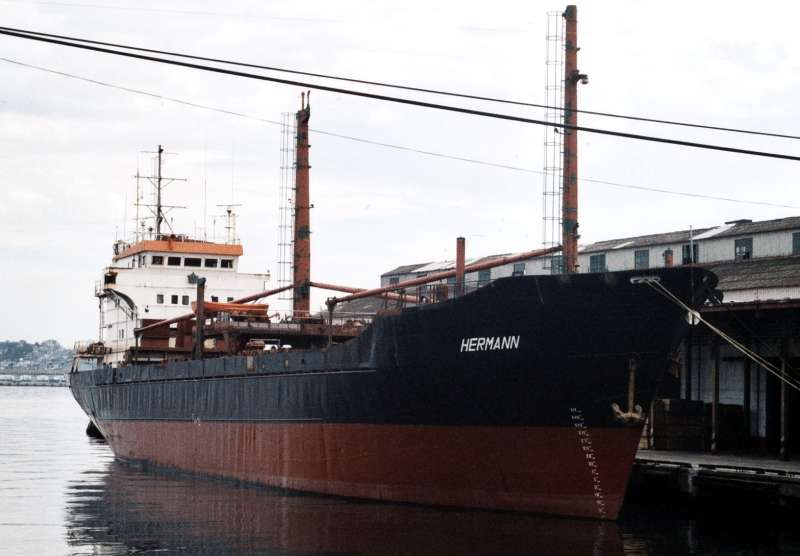 Ron Ridenour: The Story of Herman from Cuba at Sea